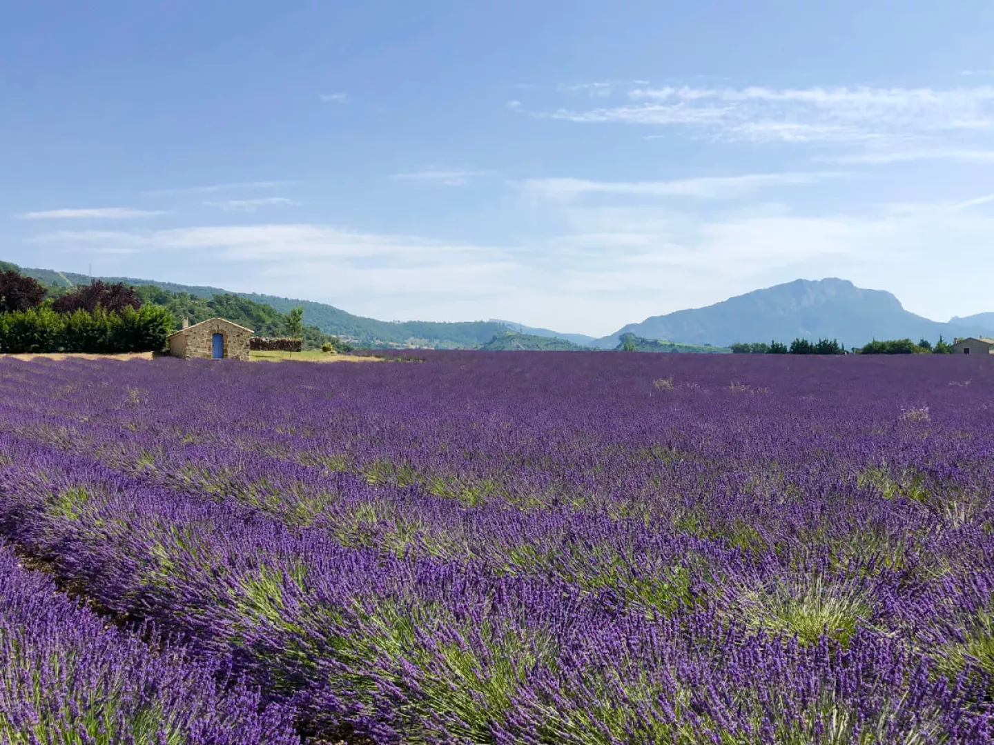 What to Eat in Provence | Taste France Magazine